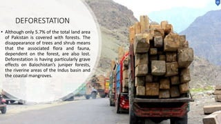 Biodiversity of pakistan | PPTX | Geography | Science