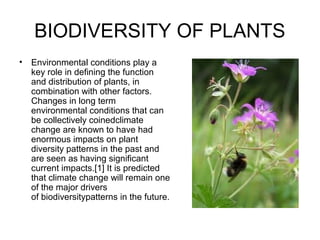 Biodiversity Plants