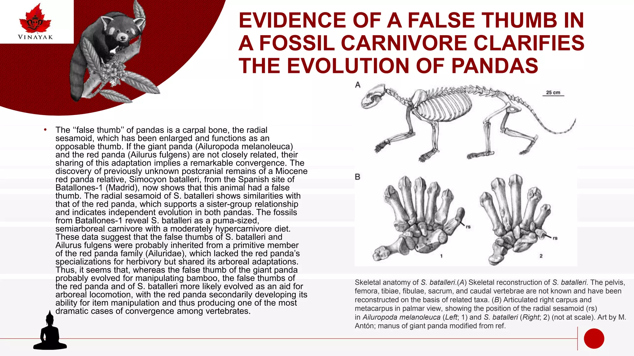 Biodiversity of sikkim | PPTX