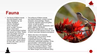 Biodiversity of sikkim | PPTX