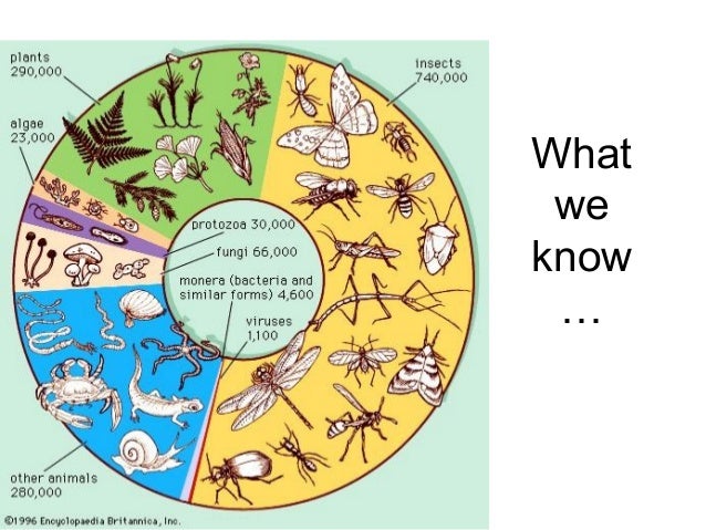 Biodiversity on Earth