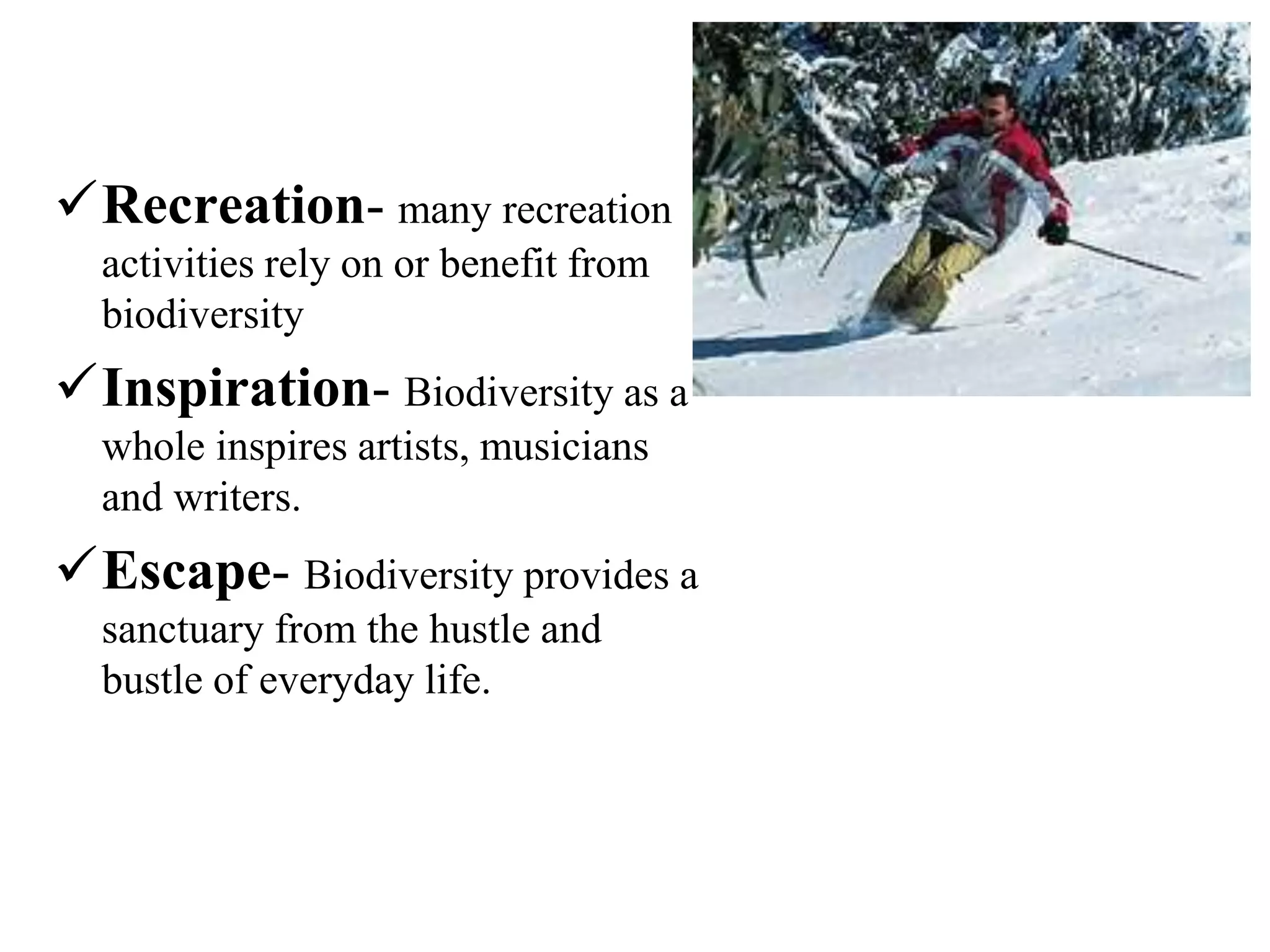 Biodiversity overview | PPT
