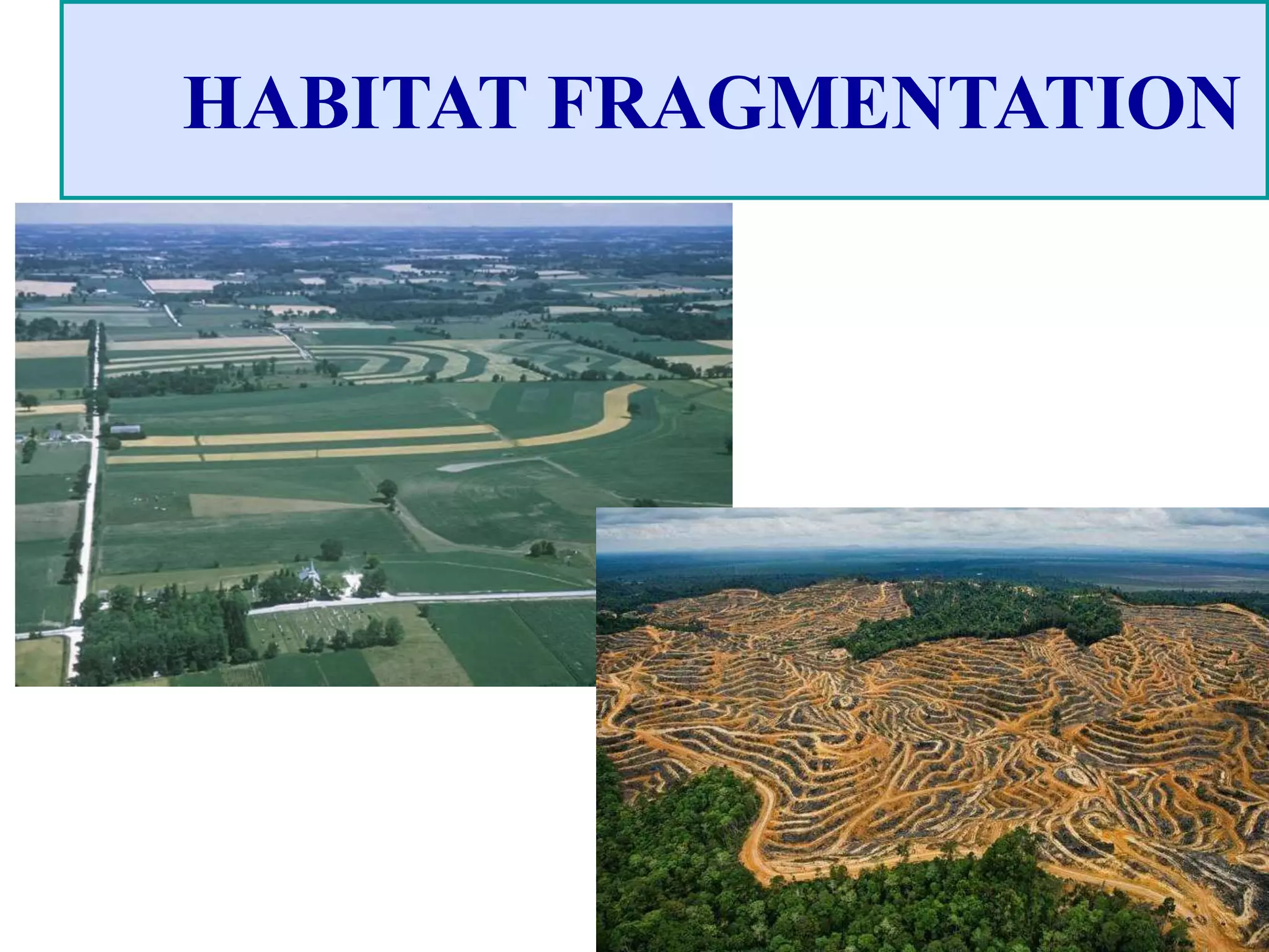 Biodiversity overview | PPT