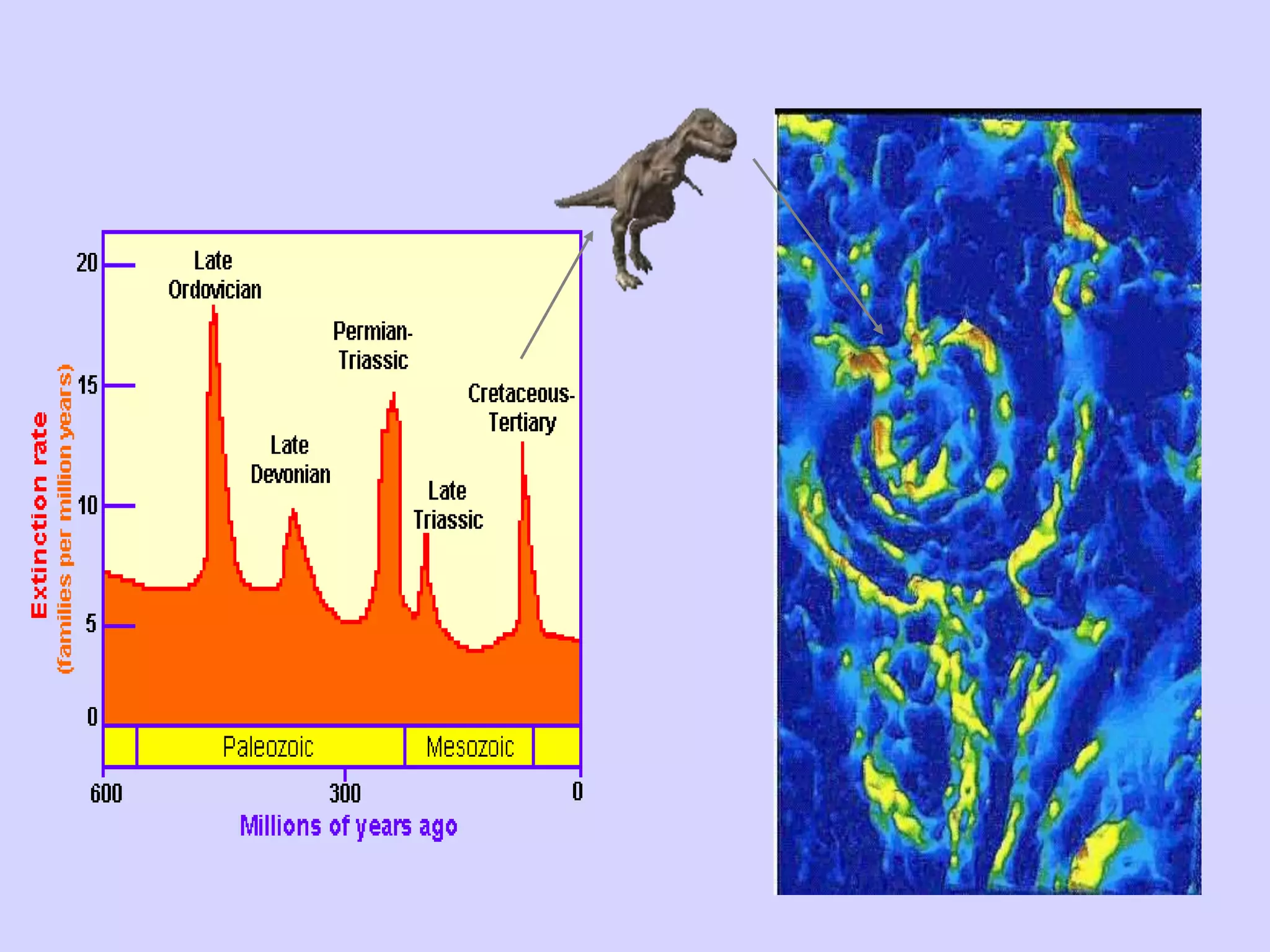Biodiversity overview | PPT