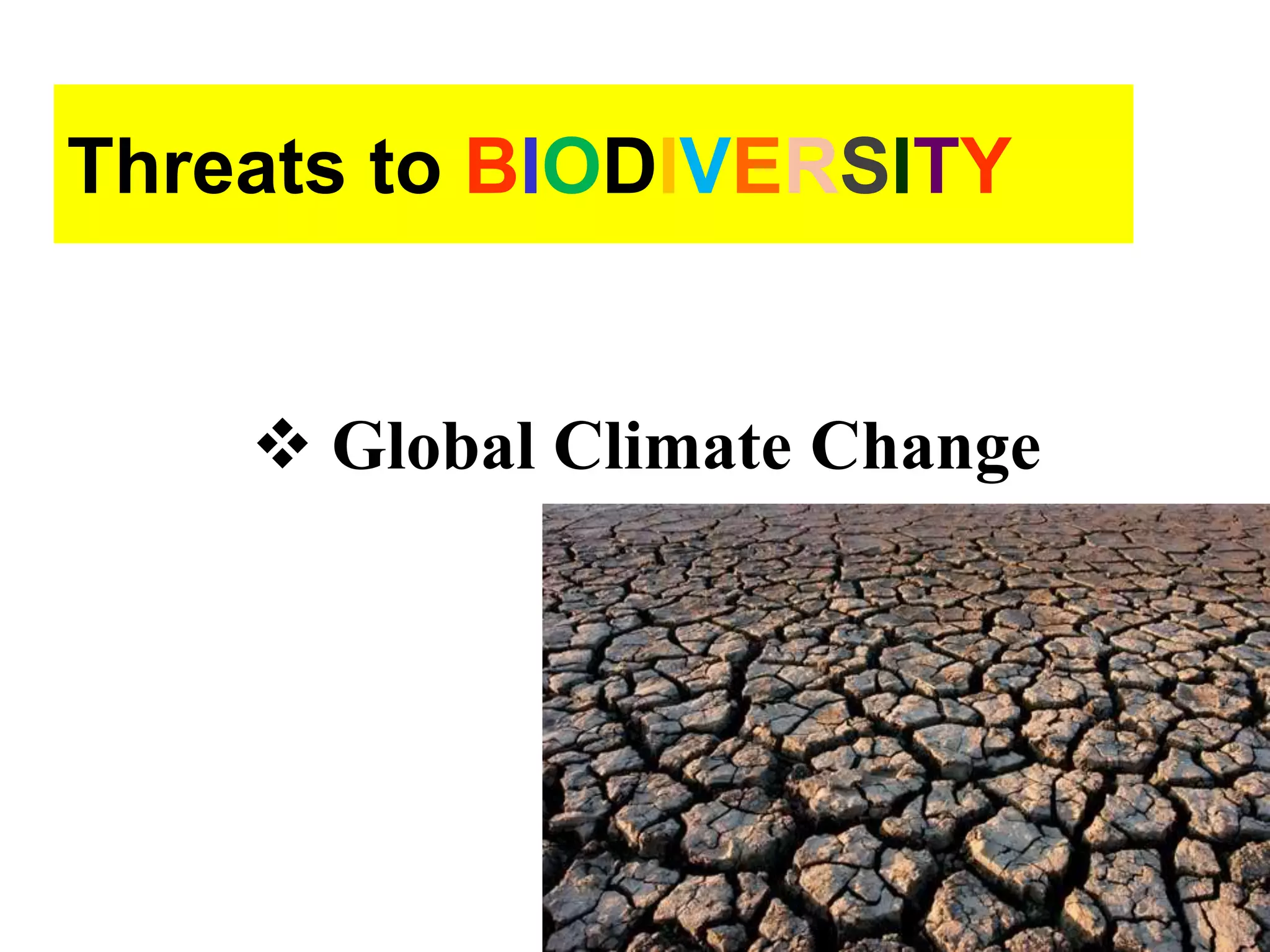 Biodiversity overview | PPT