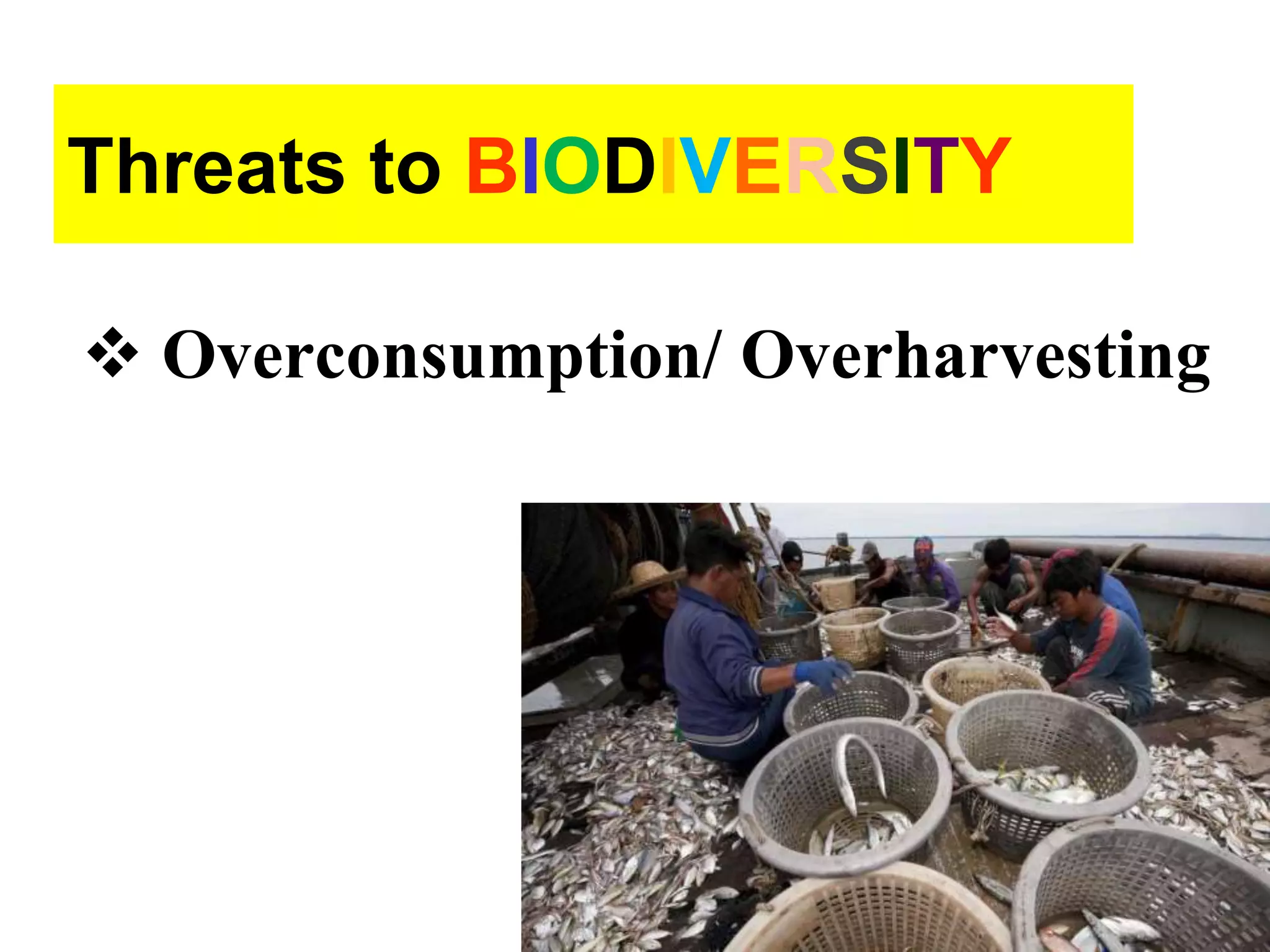 Biodiversity overview | PPT