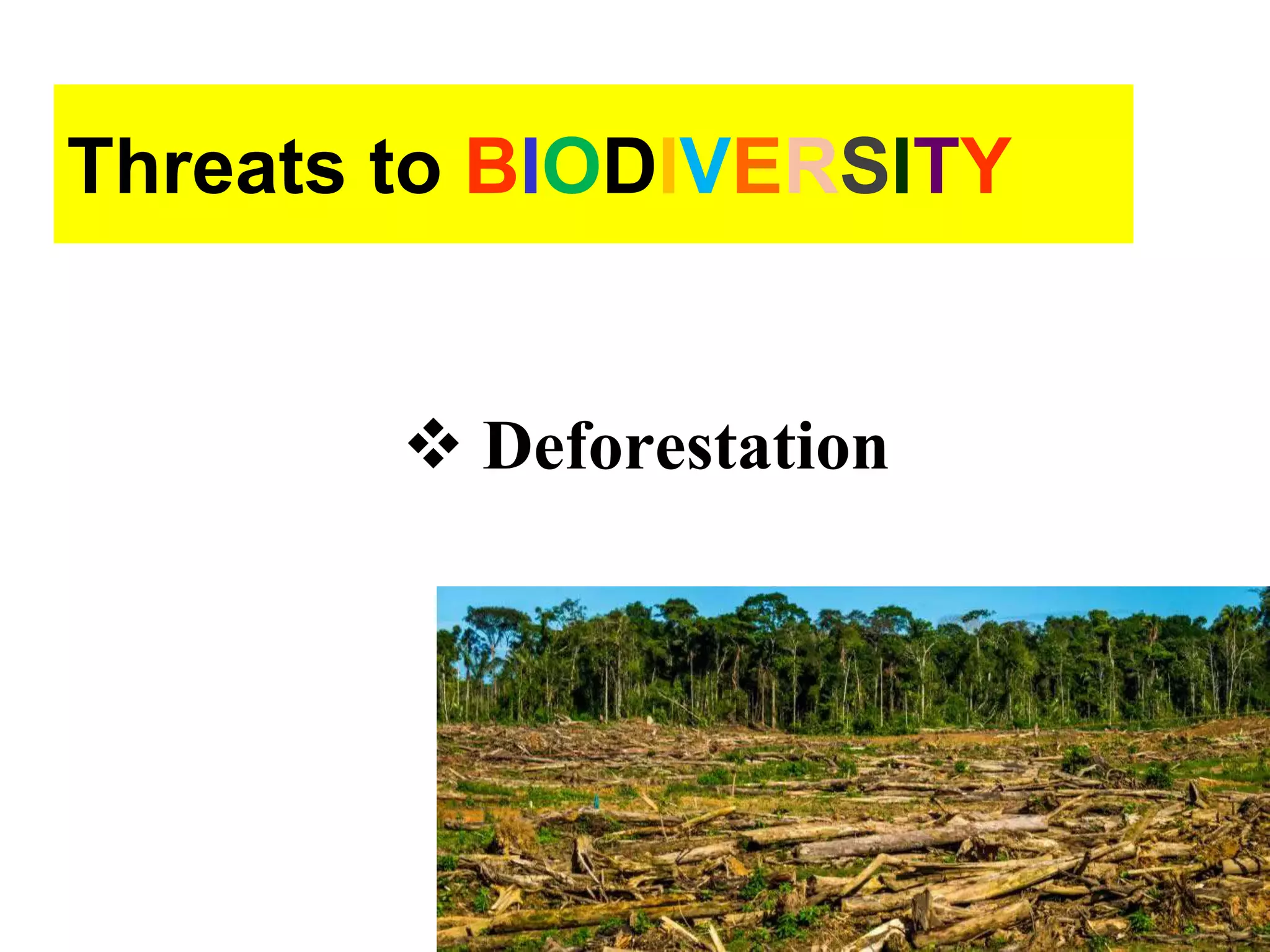 Biodiversity overview | PPT