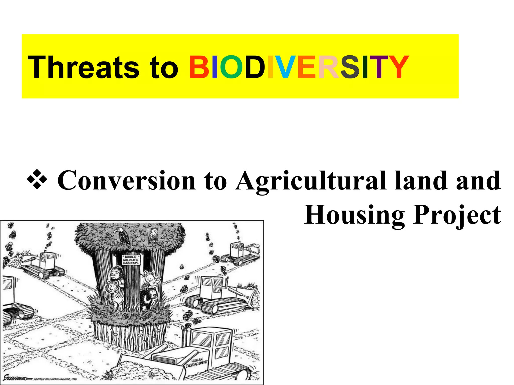 Biodiversity overview | PPT