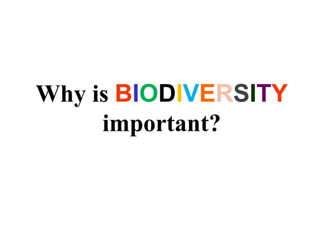 Biodiversity overview | PPT