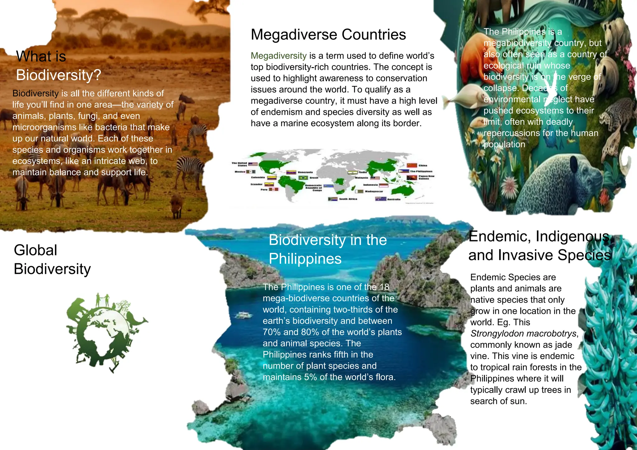 Biodiversity Pamphlet.pdf discussing the biodiversity of the world | PPT