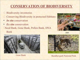 Biodiversity parks and case studies | PPTX
