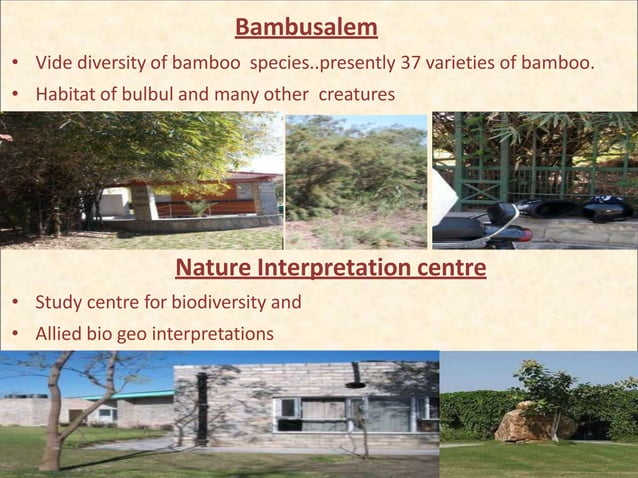 Biodiversity parks and case studies | PPTX