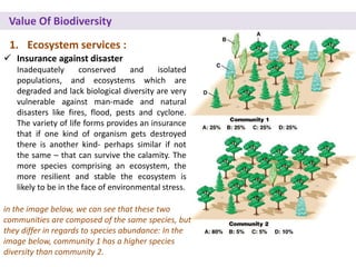 Biodiversity and its conservation | PPTX