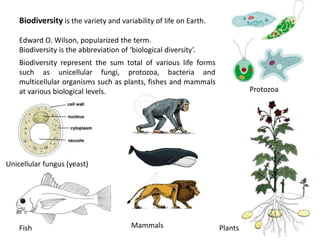 Biodiversity and its conservation | PPTX