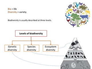 Biodiversity and its conservation | PPTX