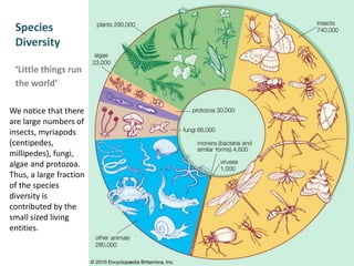 Biodiversity and its conservation | PPTX