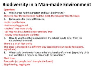 Biodiversity power point | PPTX