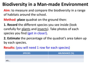 Biodiversity power point | PPTX
