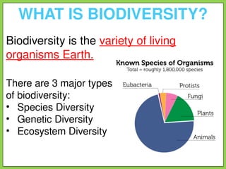 Biodiversity PowerPoint Editable Large File.pptx
