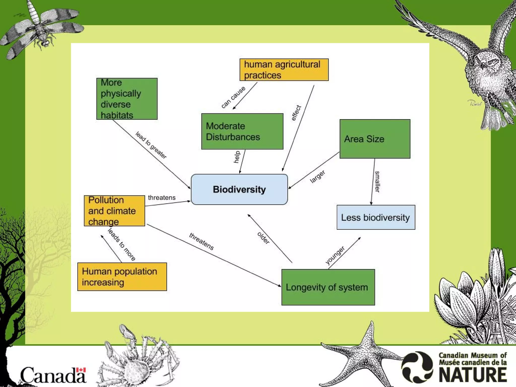 Biodiversity | PPT