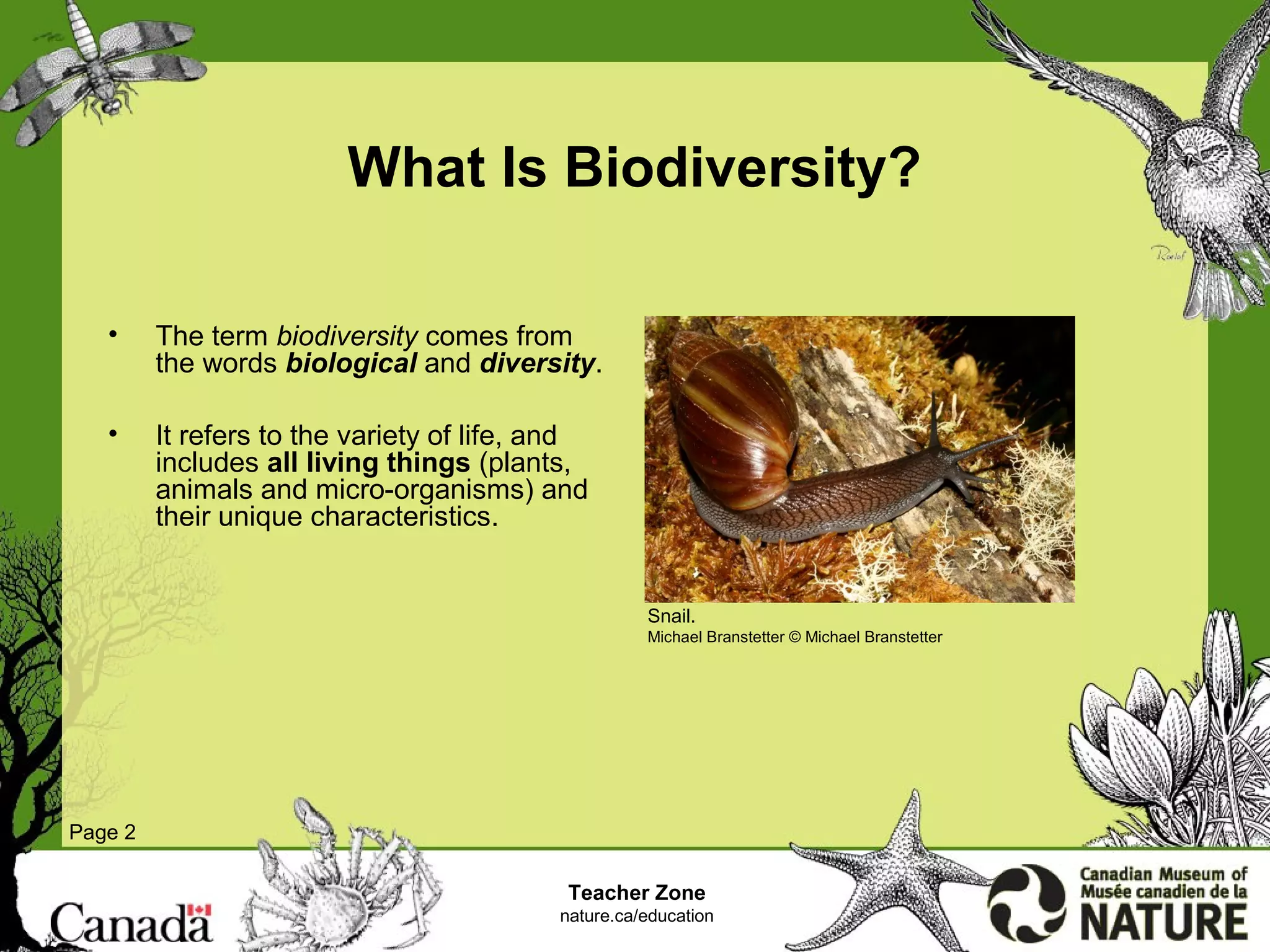 Biodiversity | PPT