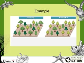 Biodiversity | PPT
