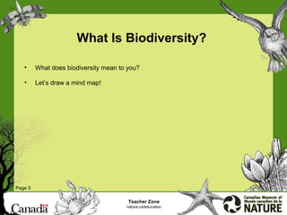 Biodiversity | PPT