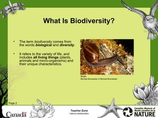 Biodiversity | PPT
