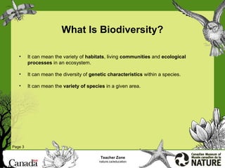 Biodiversity | PPT