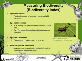 Biodiversity | PPT