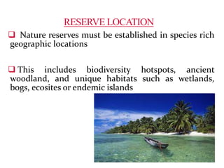 Reserve design | PPT