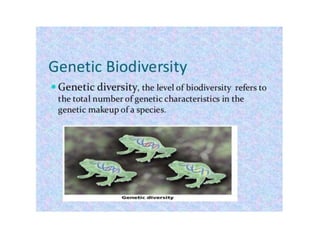 Biodiversity PPT.pptx
