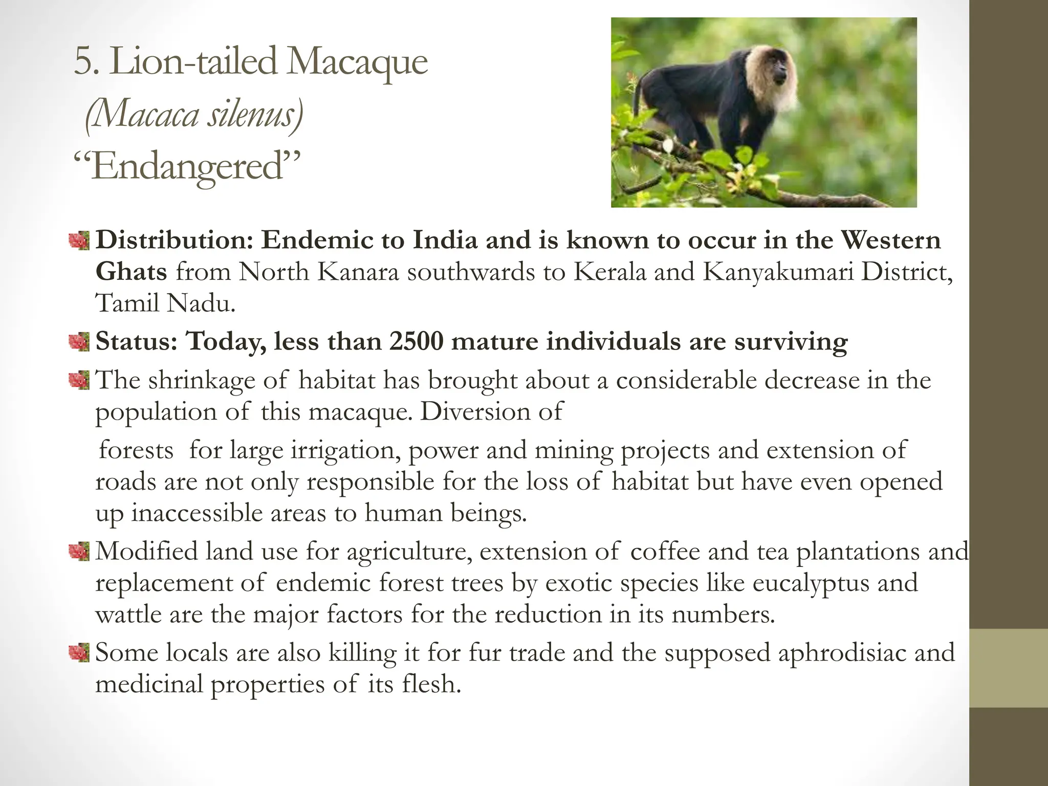 biodiversity based PPT forncollege students ppt.pptx | Geography | Science