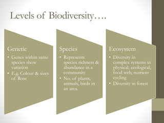 biodiversity based PPT forncollege students ppt.pptx