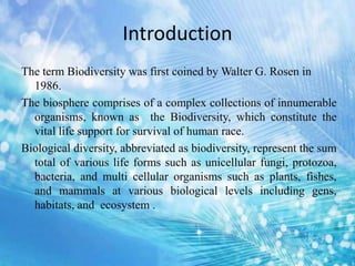 BASICS OF ENVIRONMENT AND BIODIVERSITY ppt.pptx