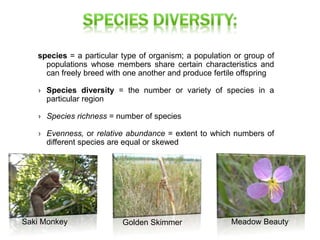 Species Biodiversity