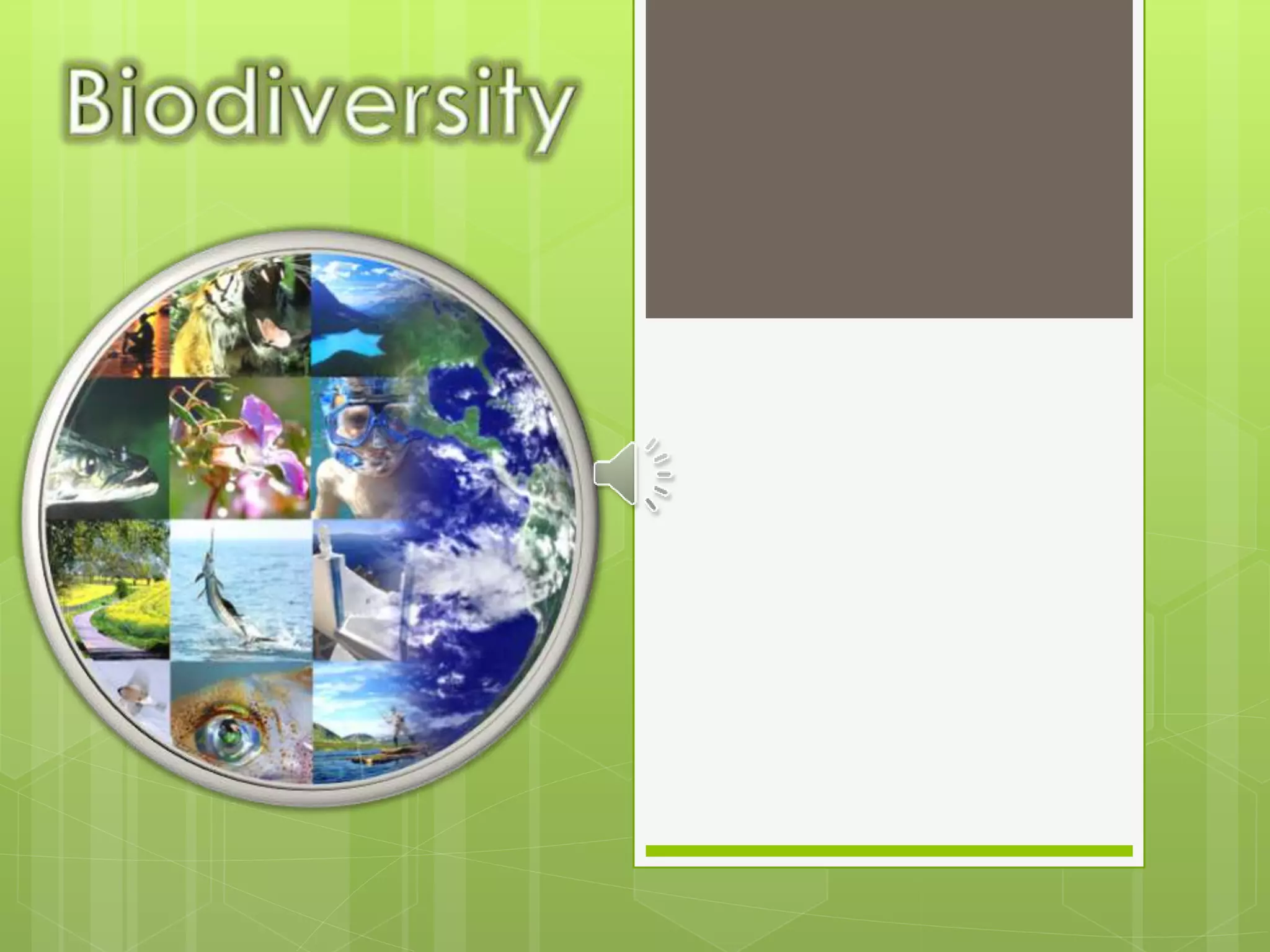 Biodiversity PPT | PPTX
