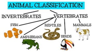 Science Form 2 Biodiversity | PPT