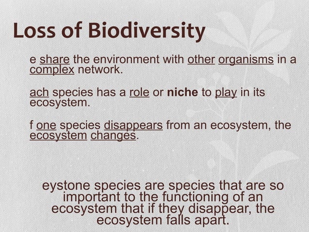 Biodiversity presentation | PPT