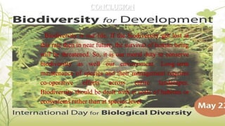 Presentation on Biodiversity | PPTX