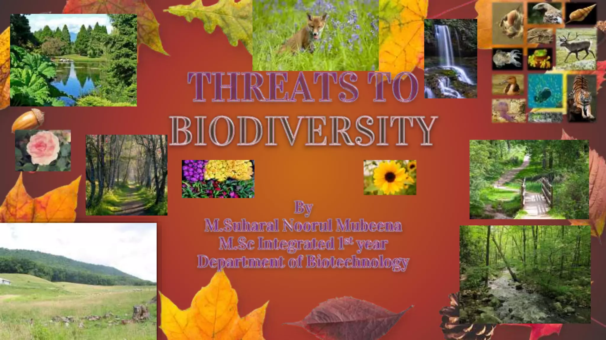 Biodiversity presentation on conservation of nature and natural ...