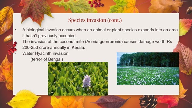 Biodiversity presentation on conservation of nature and natural ...
