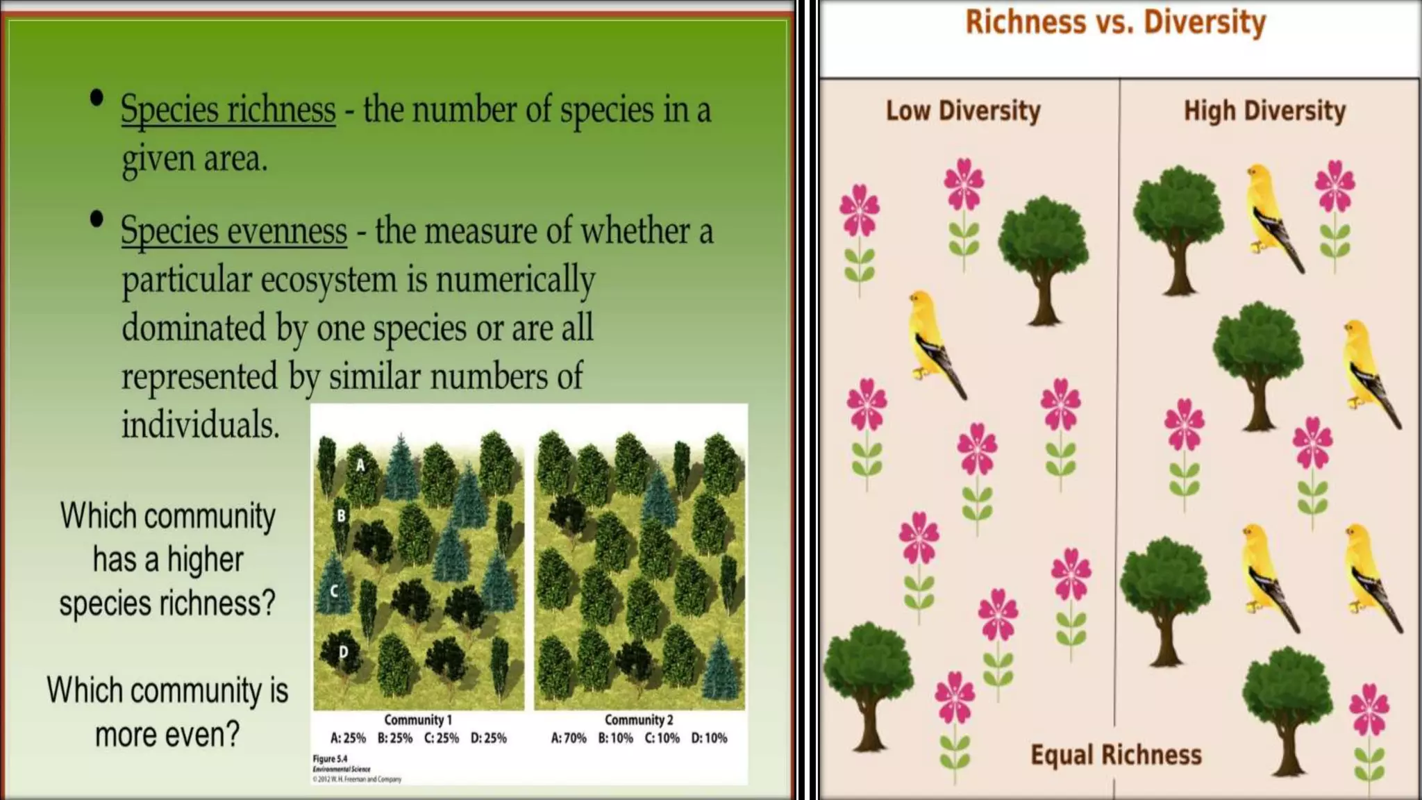 BIODIVERSITY PRESENTATION.pptx