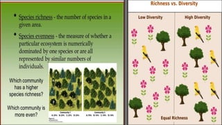 BIODIVERSITY PRESENTATION.pptx