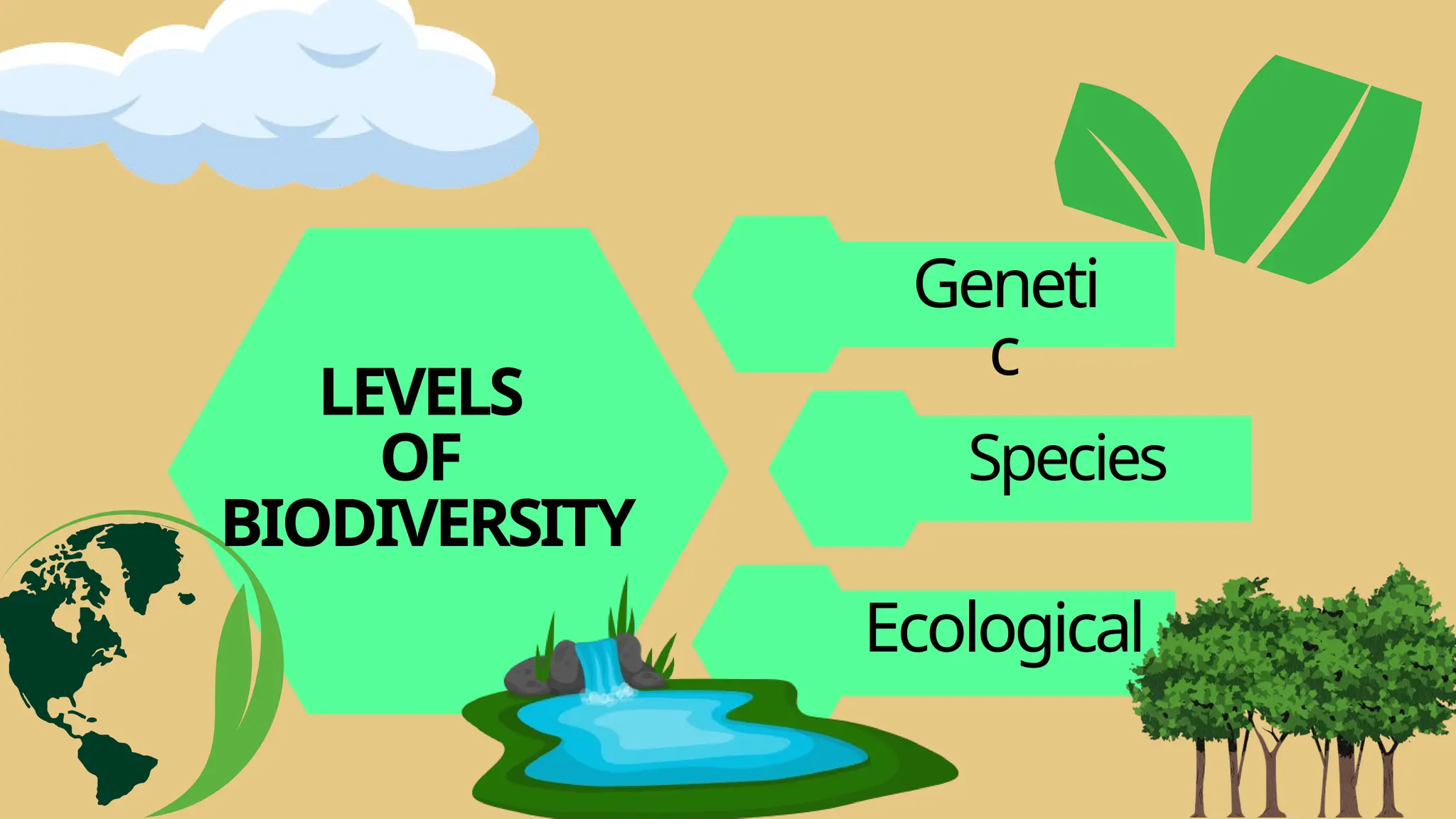 biodiversity presentation1234567890.pptx