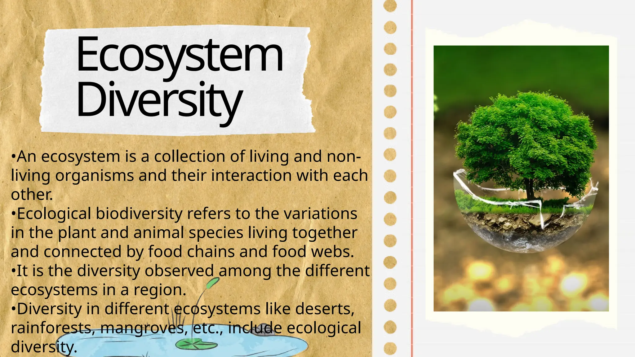 biodiversity presentation1234567890.pptx