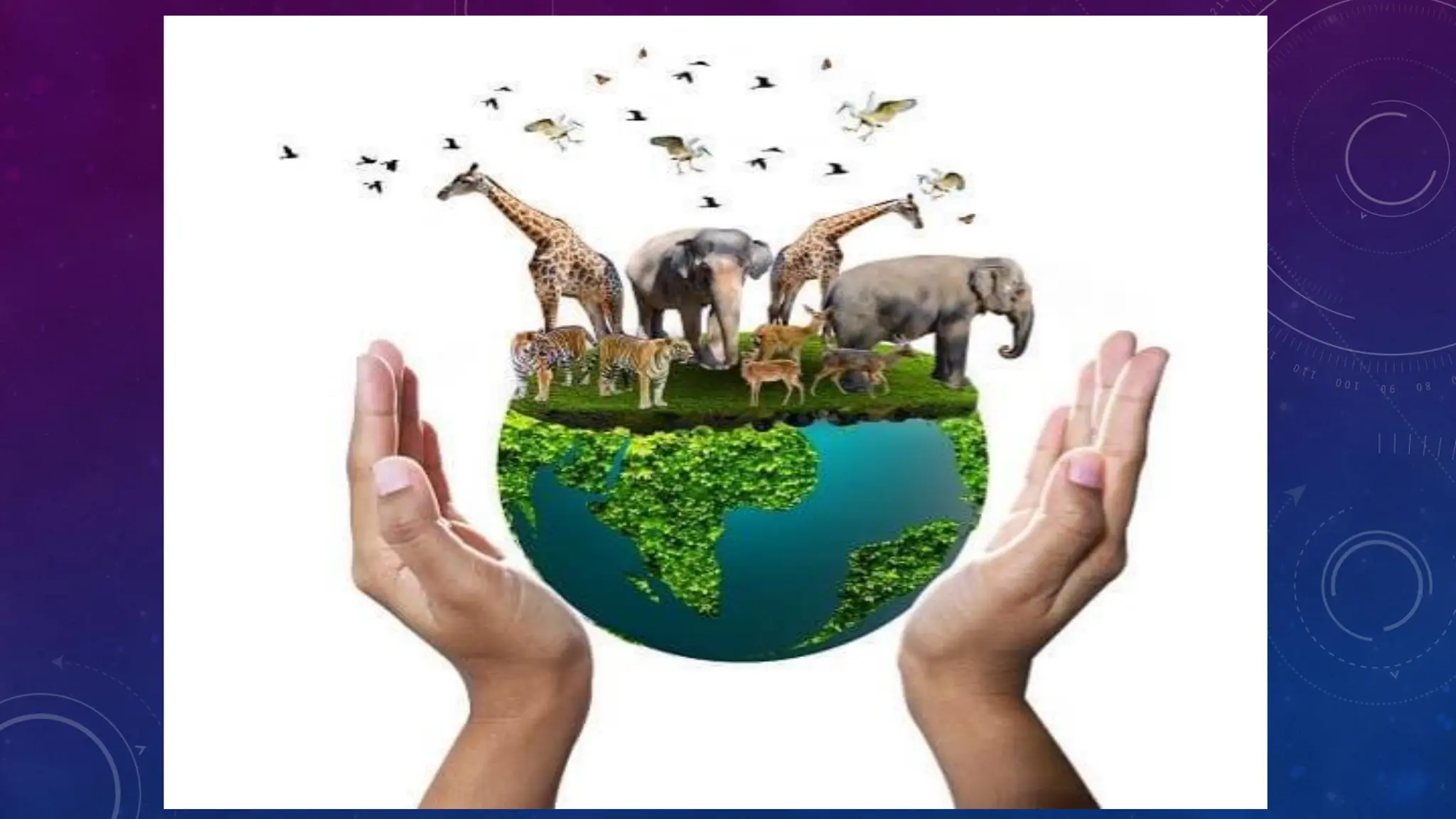 Enhancing Biodiversity presentation. PDF | PPT