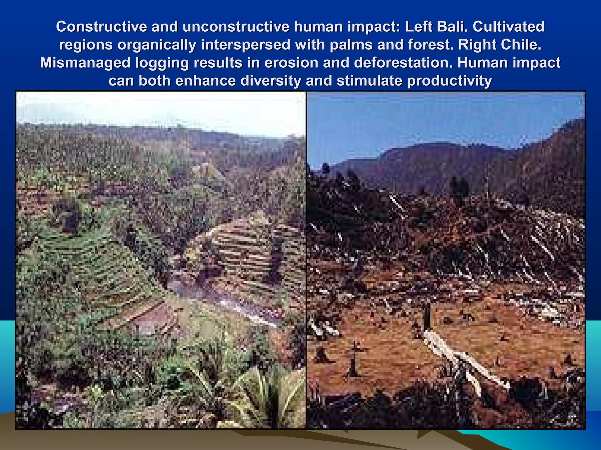 Biodiversity presentation copy | PPT