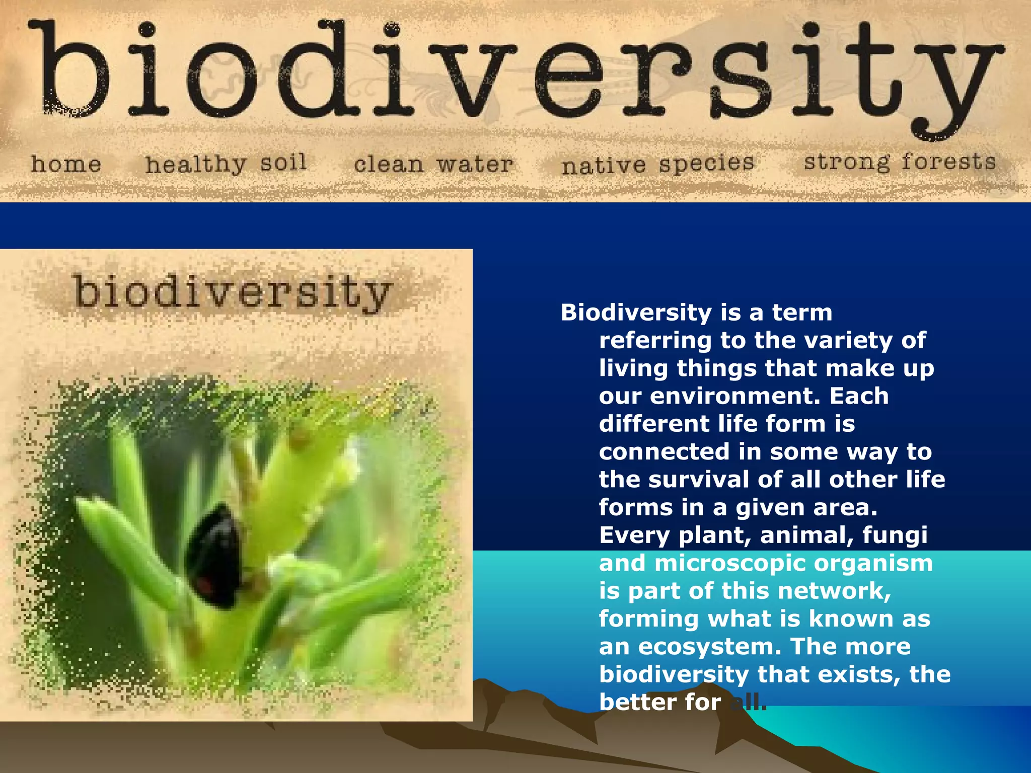 Biodiversity presentation copy | PPT