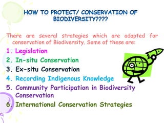 Biodiversity protection | PPT